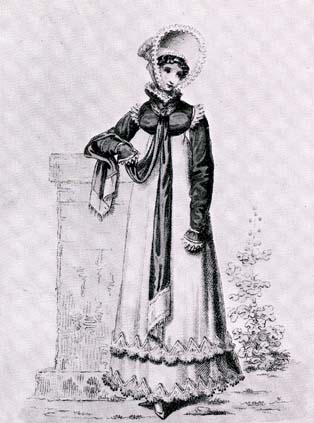 The Companion: Regency Period Fashion Plates